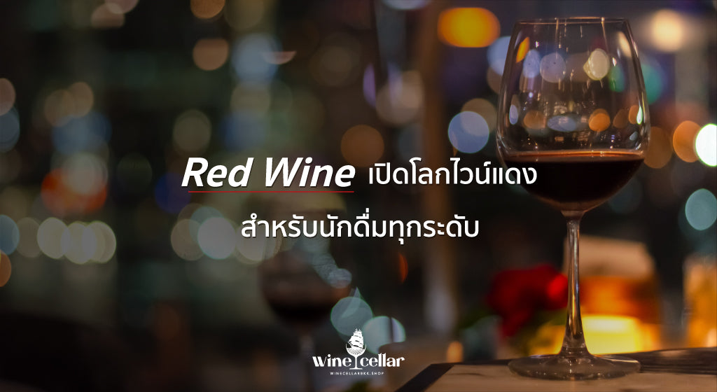 Red Wine เปิดโลกไวน์แดง สำหรับนักดื่มทุกระดับ – winecellarbkk.shop